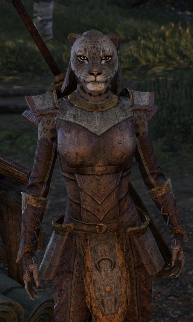 Lazami | Wiki The Elder Scrolls | Fandom