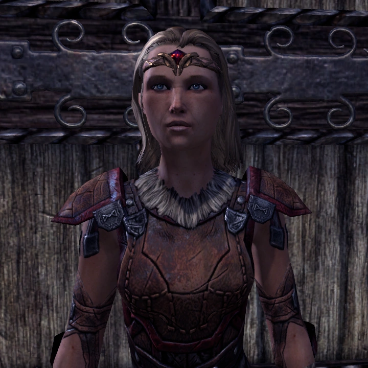 Хускарл Нельмрин | The Elder Scrolls Wiki | Fandom