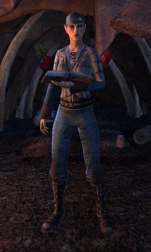 Enda | Wiki The Elder Scrolls | Fandom