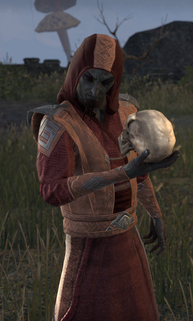 Maître Firuth Wiki The Elder Scrolls Fandom