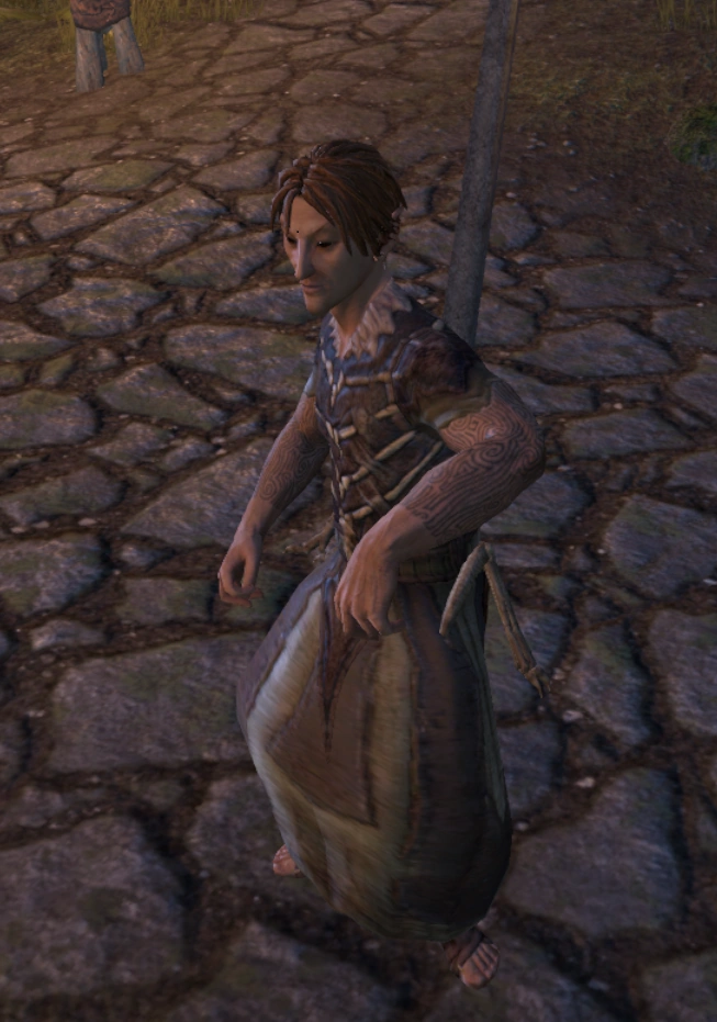 Nergor | Elder Scrolls | Fandom