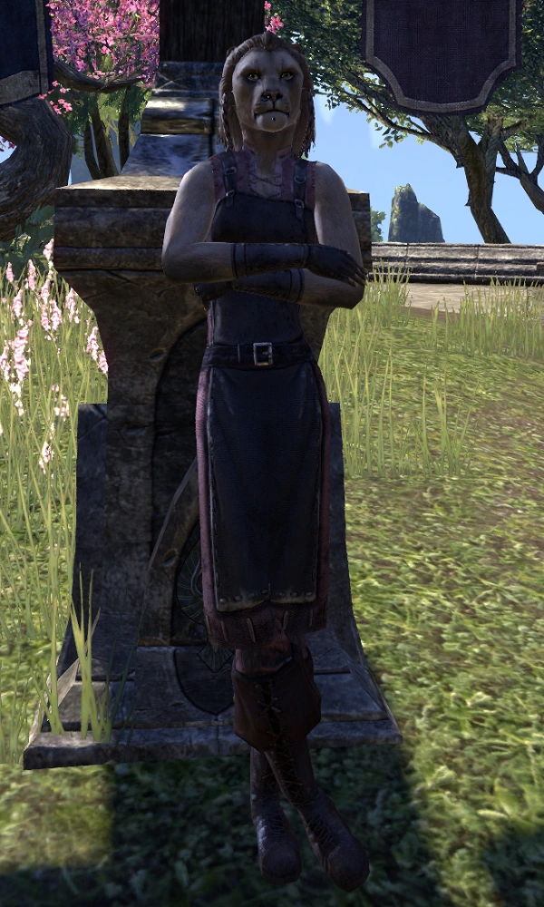 Fayna | Elder Scrolls | Fandom