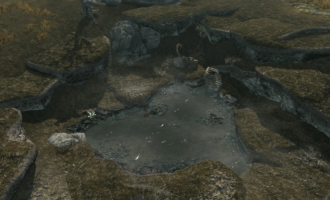 Fetid Pond | Elder Scrolls | Fandom