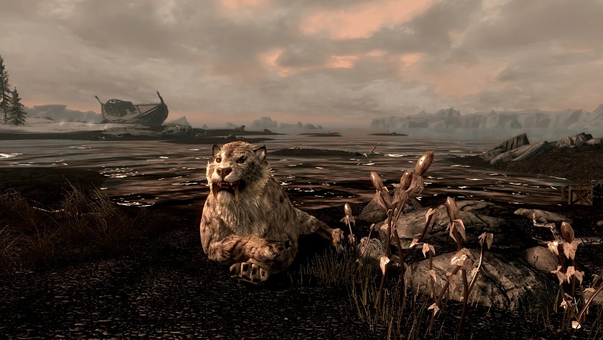 Snowy Sabre Cat (Skyrim) | Elder Scrolls | Fandom