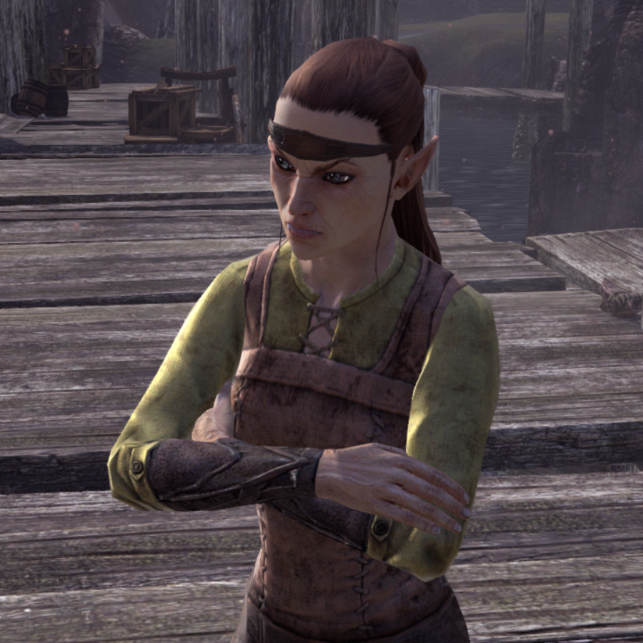Аратель Дозор Давона The Elder Scrolls Wiki Fandom