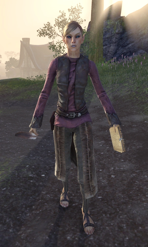 Errannie | Elder Scrolls | Fandom