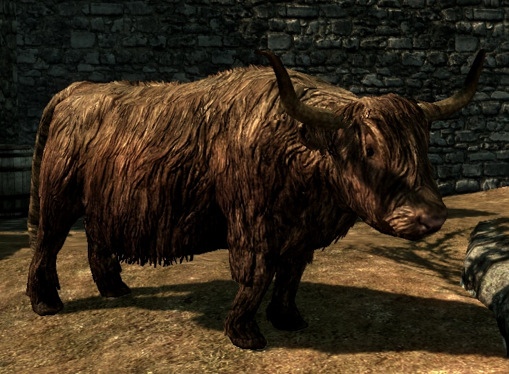 Krowa (Skyrim) | The Elder Scrolls Wiki | Fandom