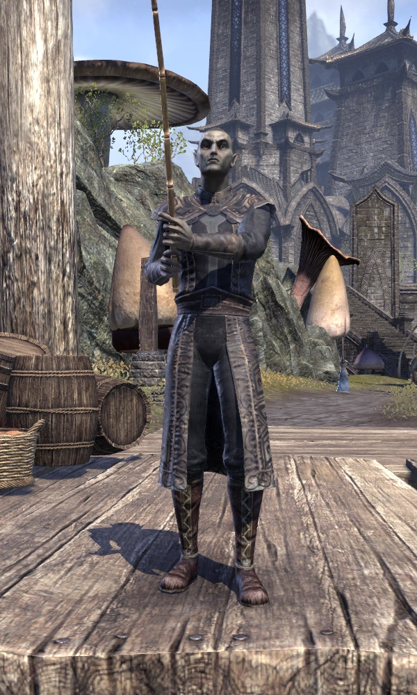Naddu Indoril | Elder Scrolls | Fandom