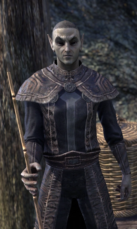 Naddu Indoril | Wiki The Elder Scrolls | Fandom