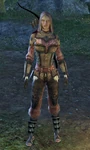 Disguises (Online) | Elder Scrolls | Fandom