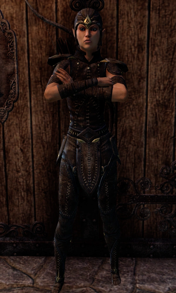 Soldier Garion | Elder Scrolls | Fandom