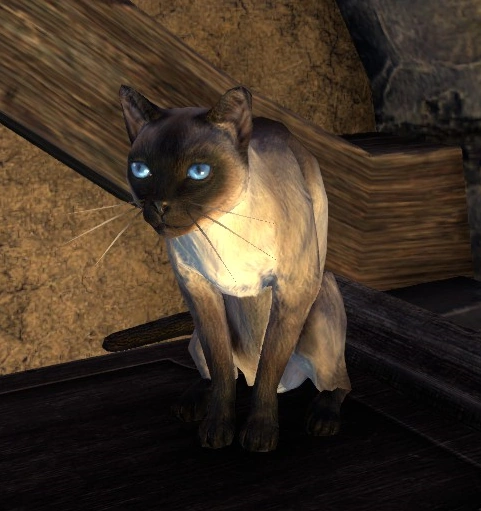 Star (Online) | Elder Scrolls | Fandom