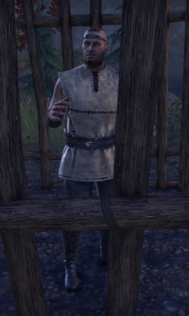 Venki | Wiki The Elder Scrolls | Fandom