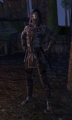 Back-Wash | Elder Scrolls | Fandom