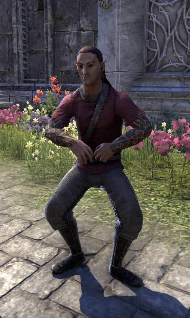 Caelin | Elder Scrolls | Fandom