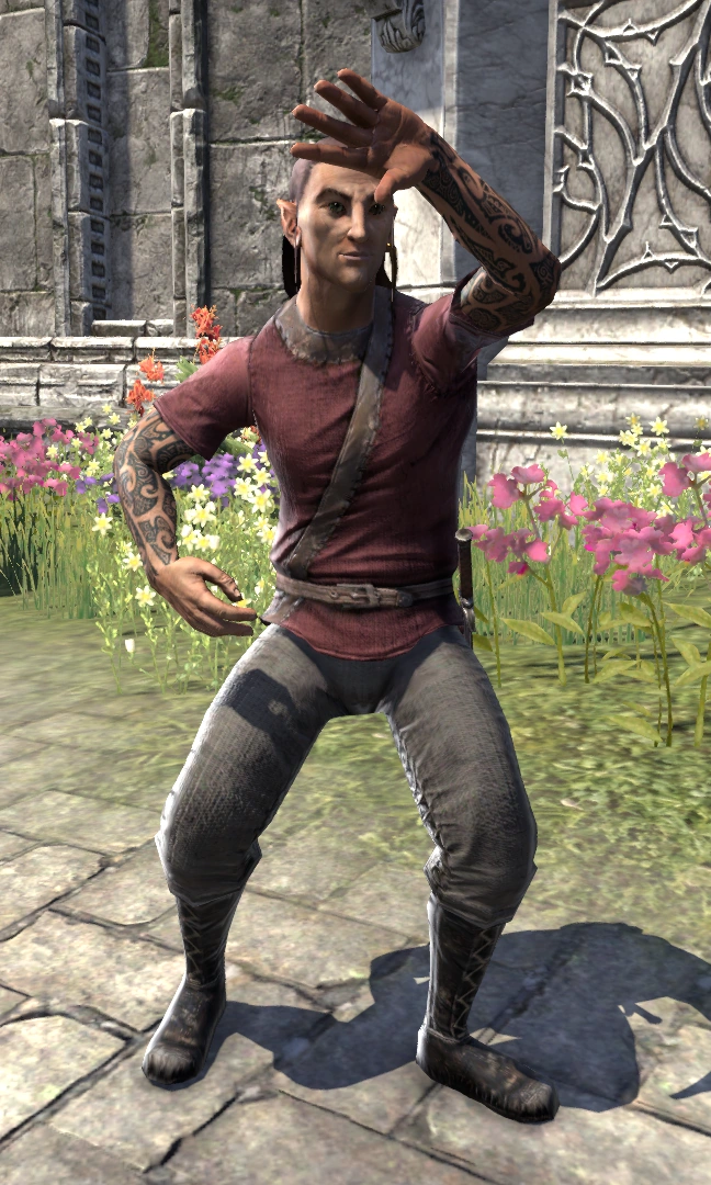 Caelin | Wiki The Elder Scrolls | Fandom