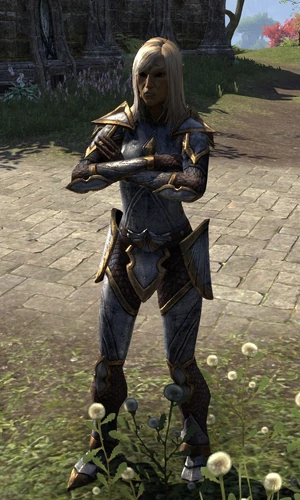 Captain Netanwe | Elder Scrolls | Fandom