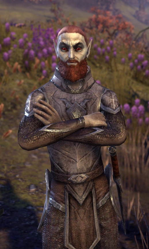 Duryn Beleran | Wiki The Elder Scrolls | Fandom