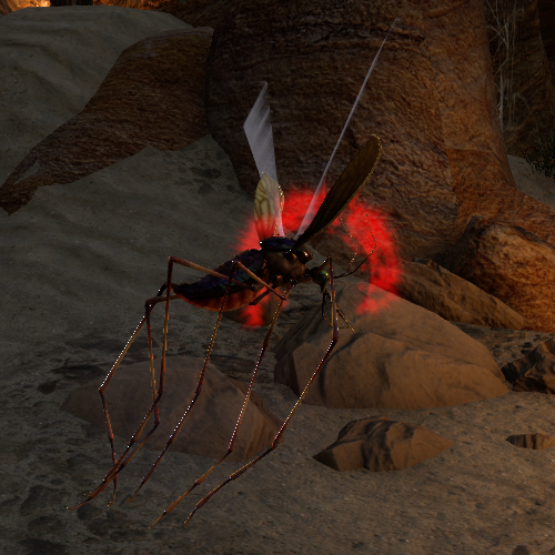 Kotu Gava | Elder Scrolls | Fandom