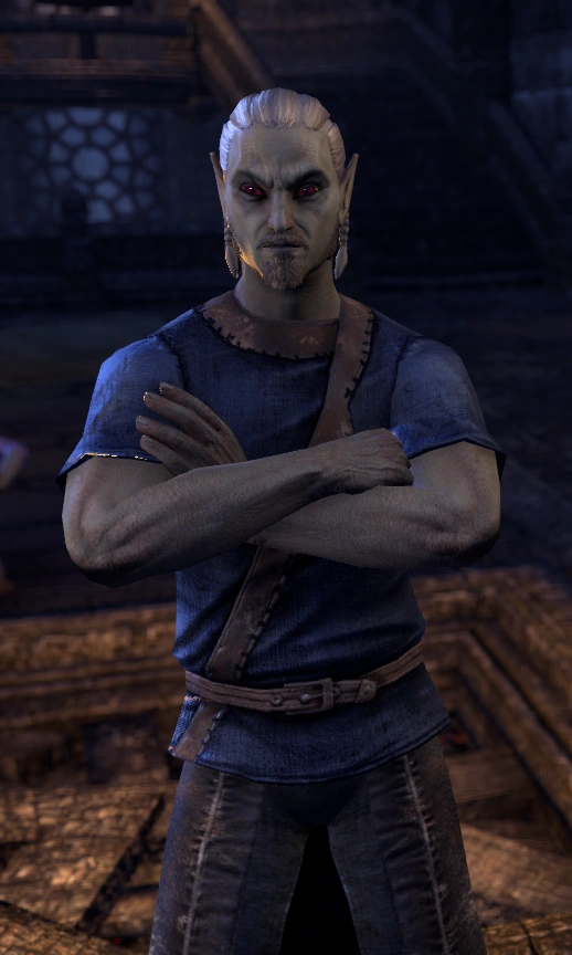 Meldras Aren | Wiki The Elder Scrolls | Fandom