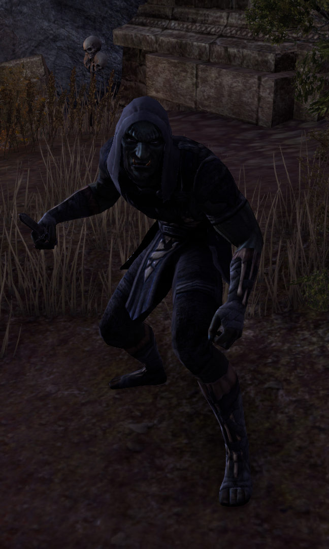 Chaman Putre Sang Wiki The Elder Scrolls Fandom