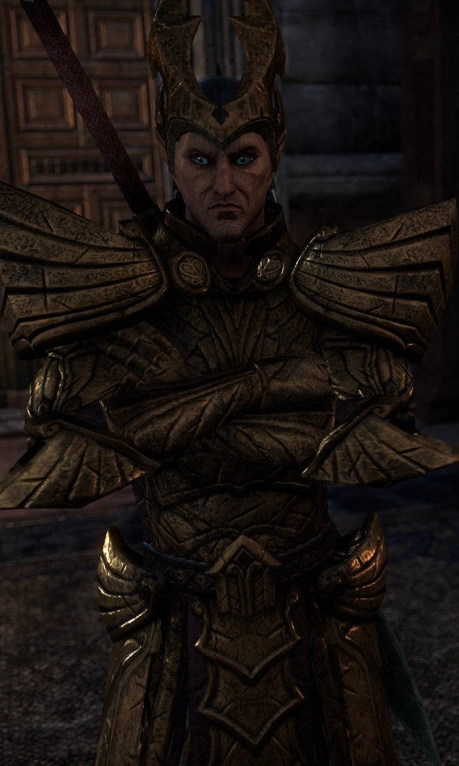 Roi Laloriaran Dynar | Wiki The Elder Scrolls | Fandom