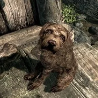 Perro (Skyrim) | Elder Scrolls | Fandom
