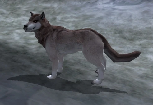 Snow Wolf (Bloodmoon) | Elder Scrolls | Fandom