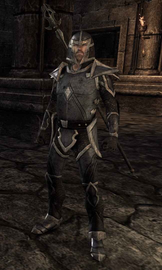 Soldat Inconnu Wiki The Elder Scrolls Fandom