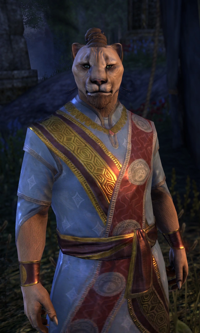 Azargo Long-cours | Wiki The Elder Scrolls | Fandom