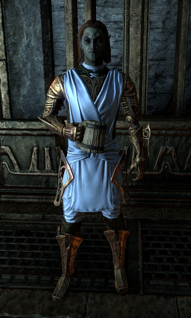 Braynas Faryon | Wiki The Elder Scrolls | Fandom