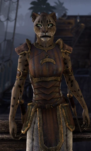 Capitaine Jimila | Wiki The Elder Scrolls | Fandom