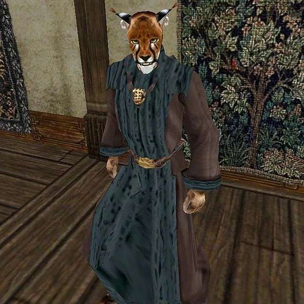 Zadanie:Ahnassi, specjalny przyjaciel | The Elder Scrolls Wiki | Fandom