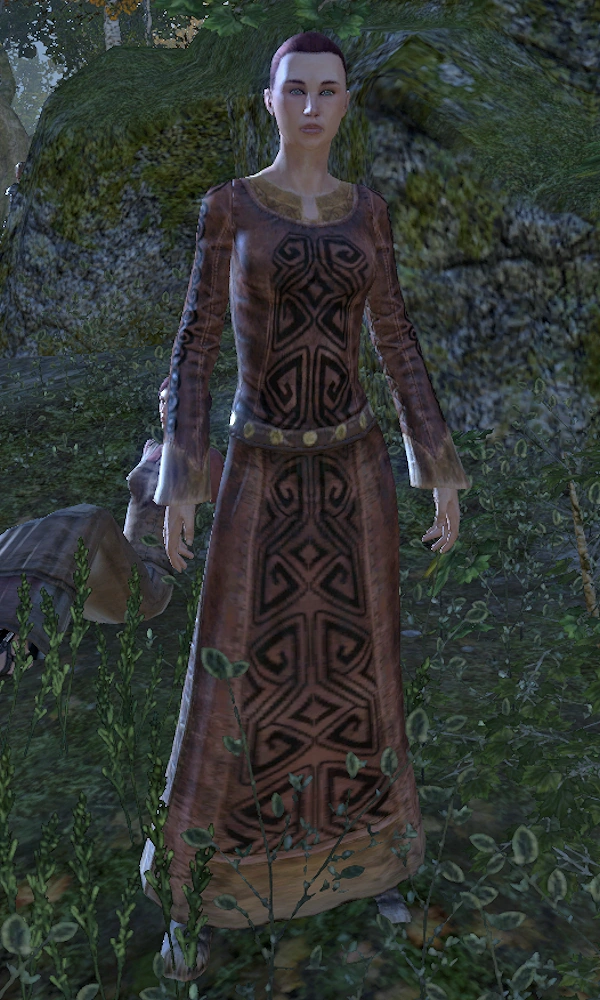 Lady Eloise Noellaume | Elder Scrolls | Fandom