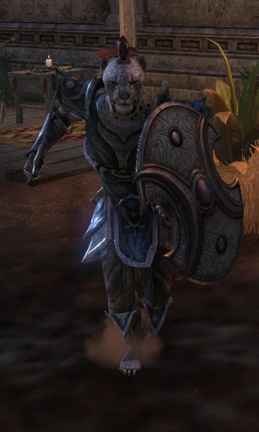 Meirvale Keep Defender | Elder Scrolls | Fandom