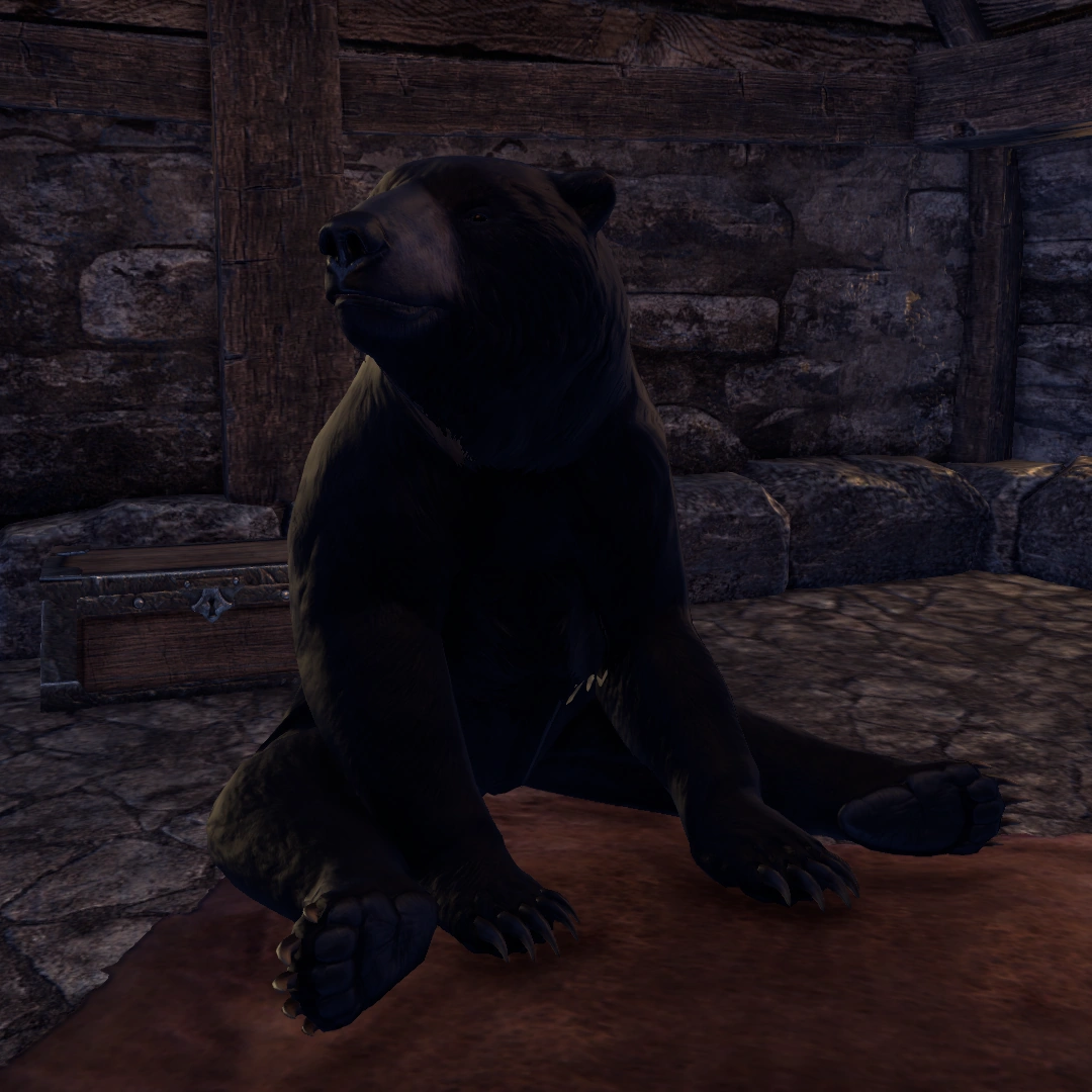 Surepel | Wiki The Elder Scrolls | Fandom