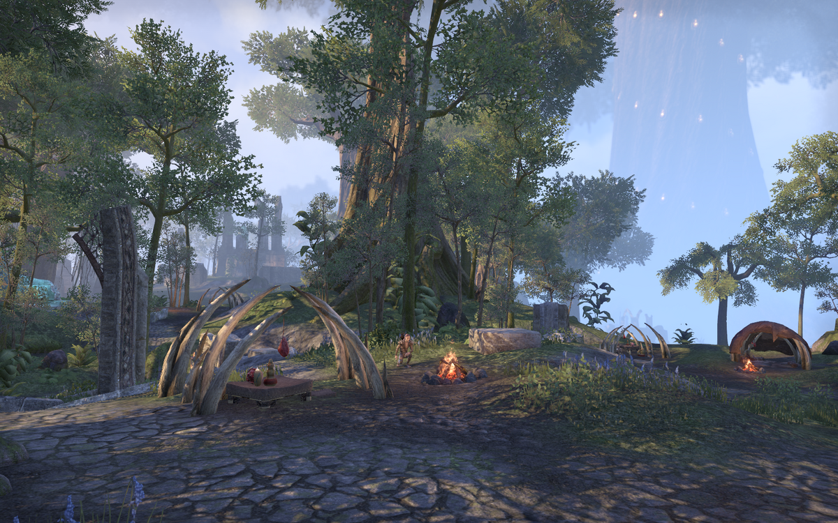 Falinesti Winter Site | Elder Scrolls | Fandom