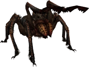 Frostbite Spider (Skyrim) | Elder Scrolls | Fandom
