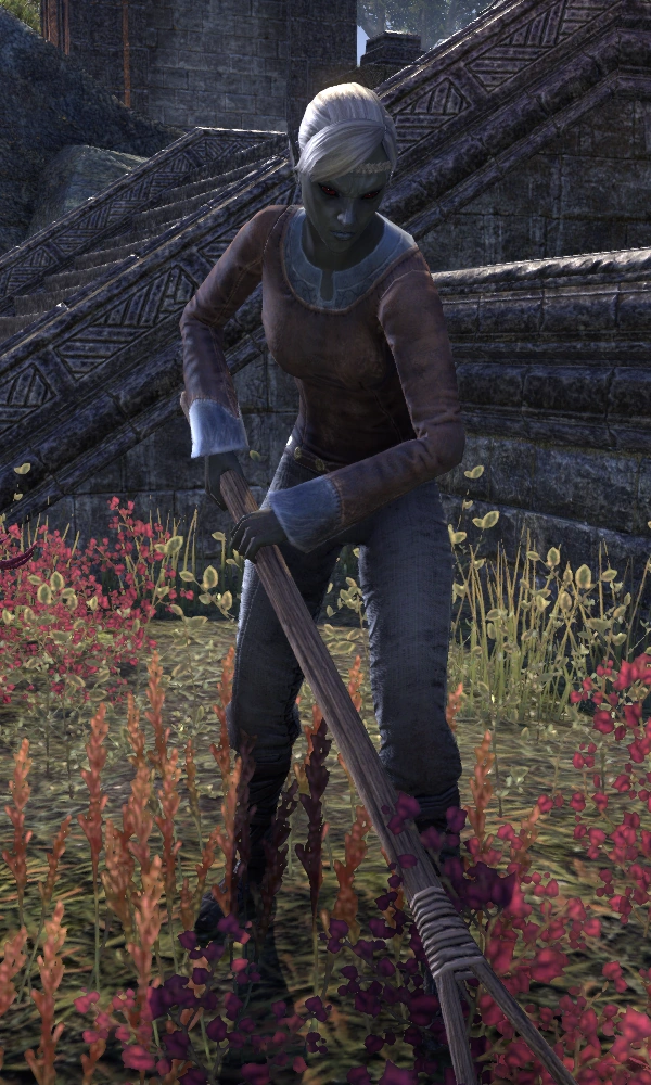 Madura (Narsis) | Elder Scrolls | Fandom