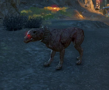 Death Hound (Online) | Elder Scrolls | Fandom