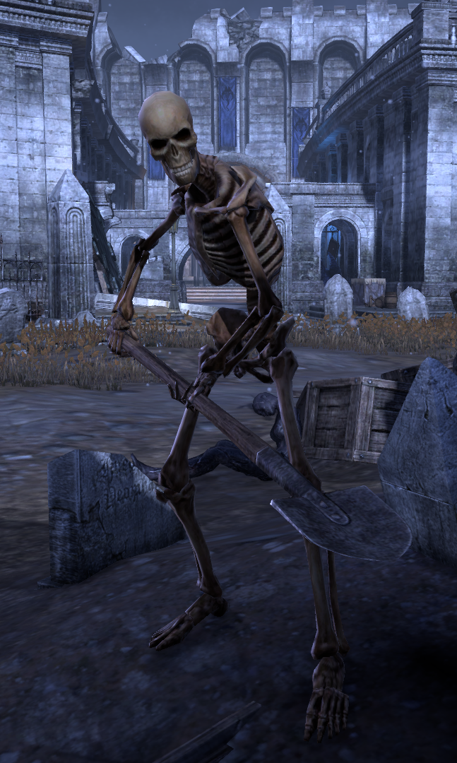 Ouvrier Squelette Wiki The Elder Scrolls Fandom