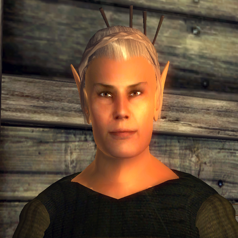 КатегорияВосточная имперская компания Oblivion The Elder Scrolls