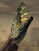 Argonians (Skyrim) | Elder Scrolls | Fandom