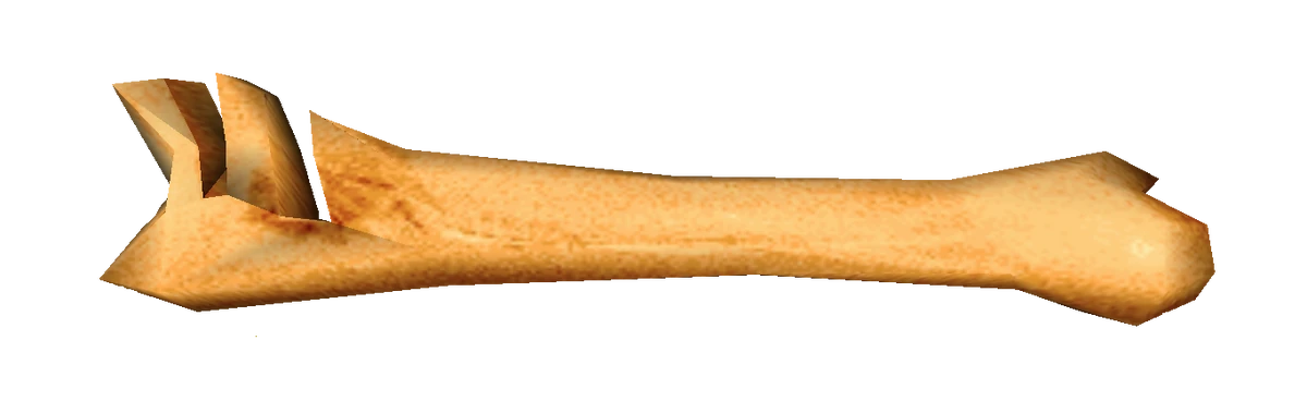 Bone key | The Elder Scrolls Wiki | Fandom