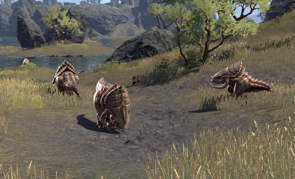 The Elder Scrolls Wiki:Weekly Updates/2021-01-16 | Elder Scrolls | Fandom