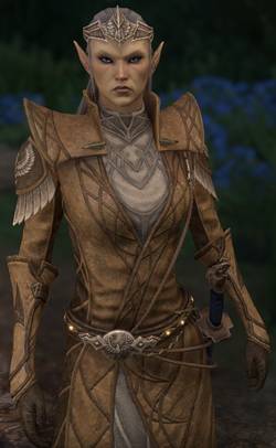 Reina Elfa De Elder Scrolls Online