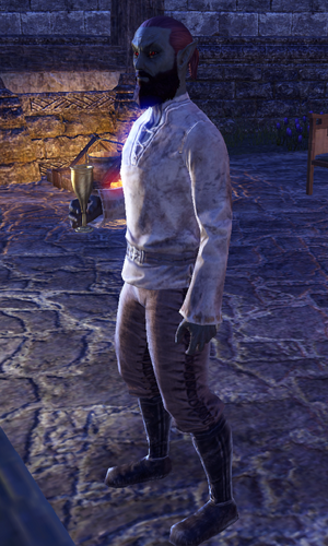 Valen Andrethi Elder Scrolls Fandom