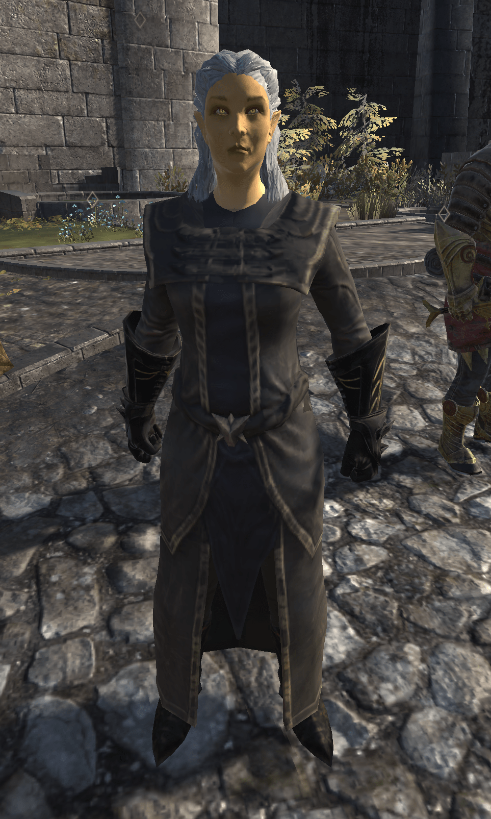 Thalmor Blades Elder Scrolls Fandom