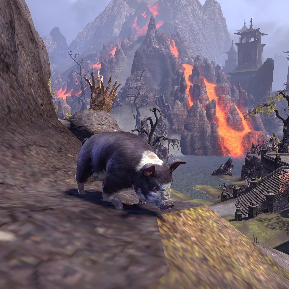 Princess | Elder Scrolls | Fandom