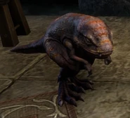 Guar | Elder Scrolls | Fandom
